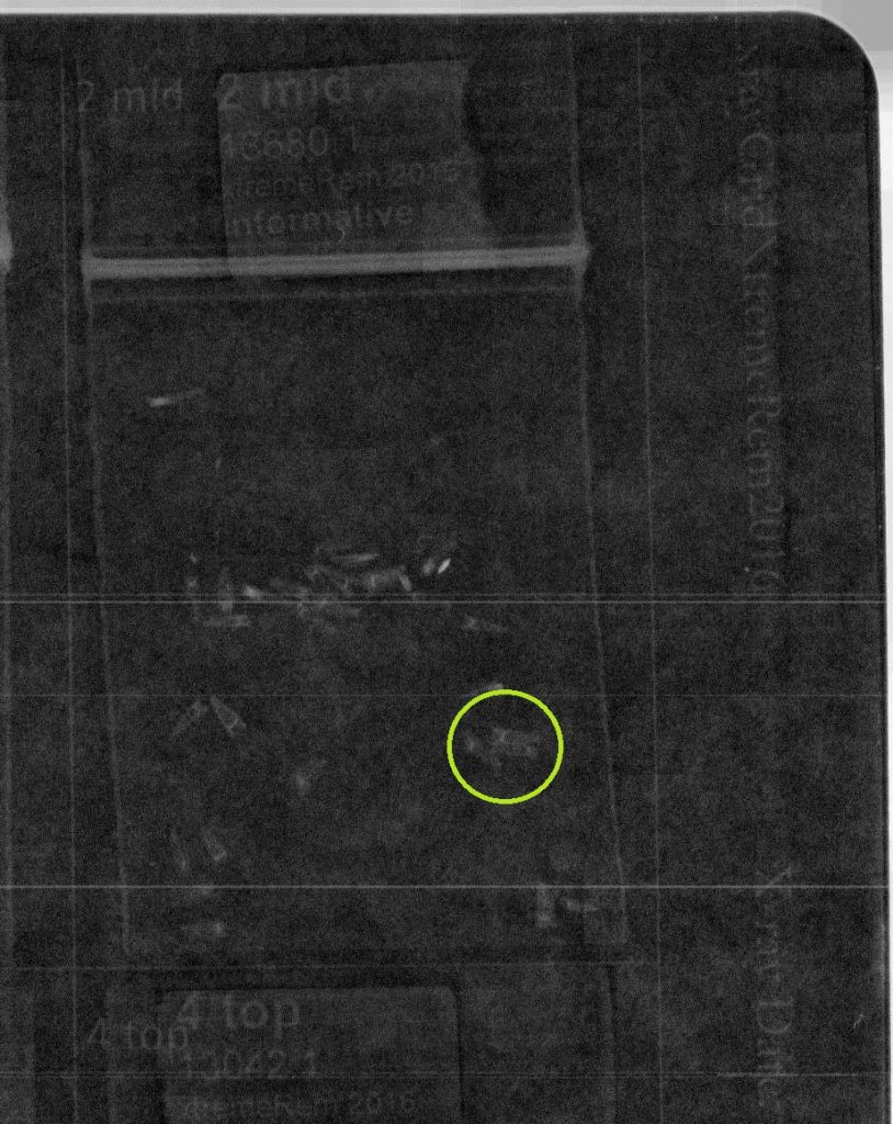 Perfecting the X-ray image: EBImage package in R « The Echinacea Project