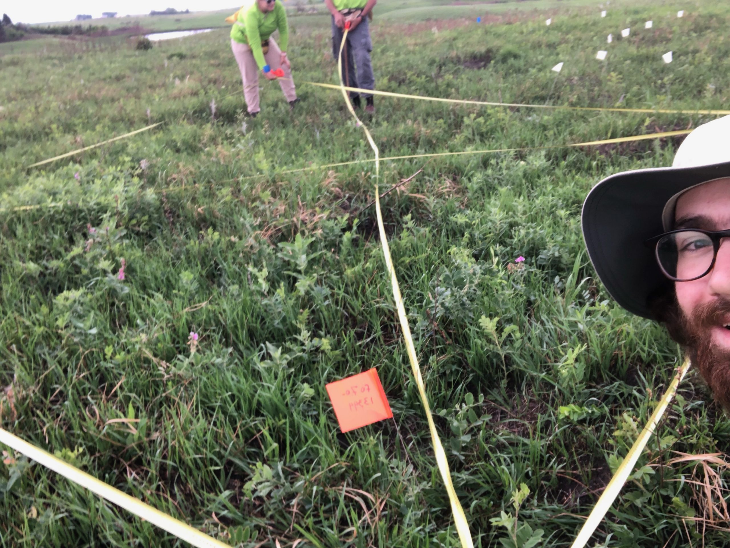 Day 4: Flags Galore, Even More! « The Echinacea Project