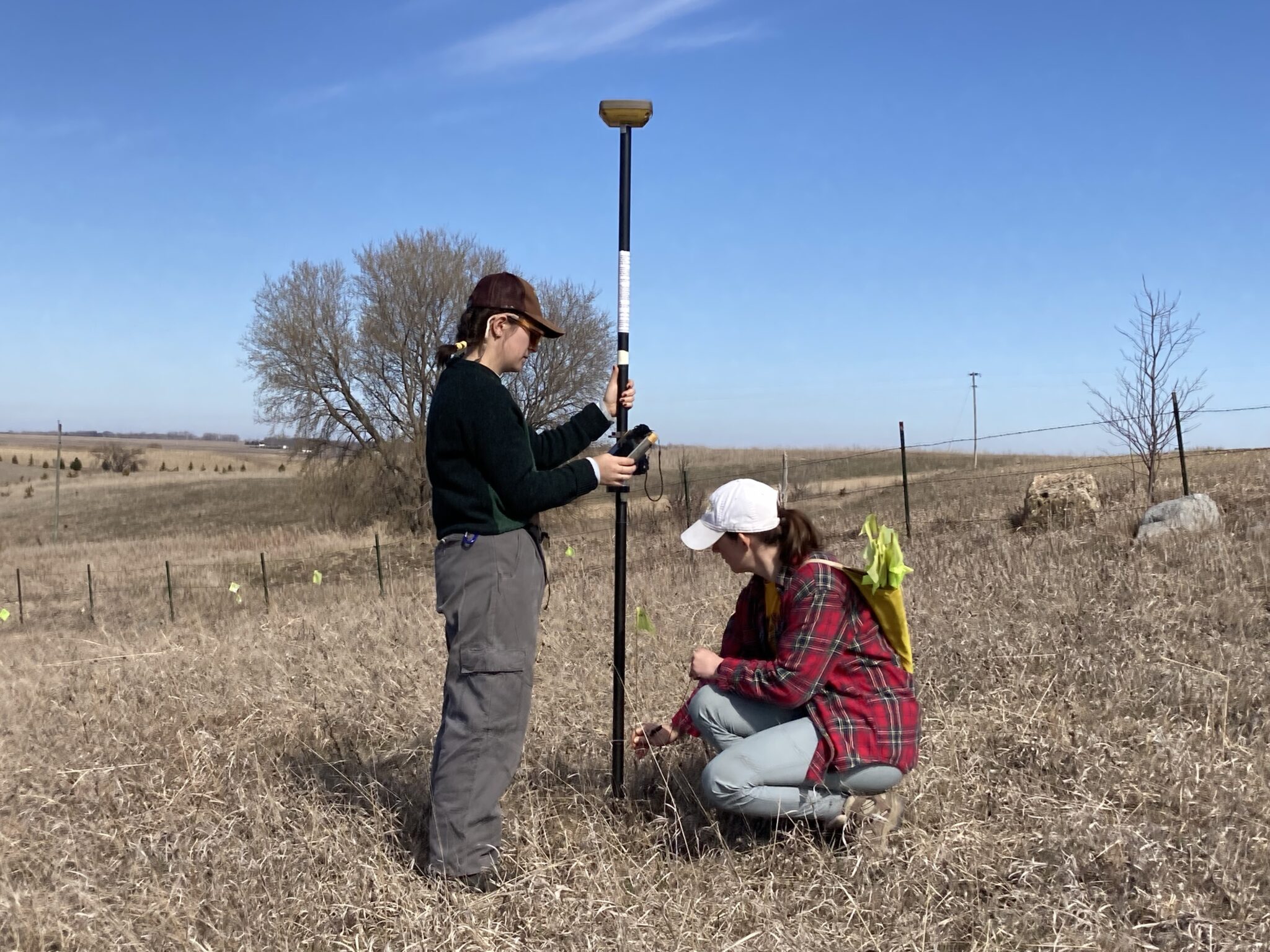 Smoke experiment « The Echinacea Project